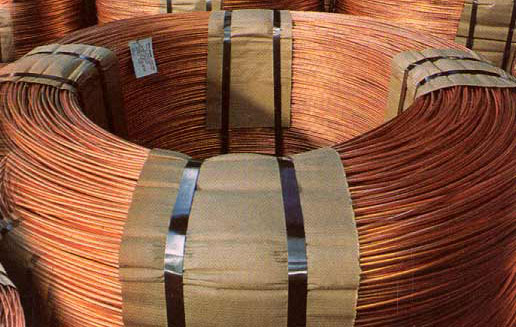 Google Protects Its Undersea Fiber Optic Cables... From Sharks