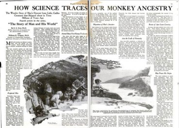 Archive Gallery: In Defense of Evolutionary Theory