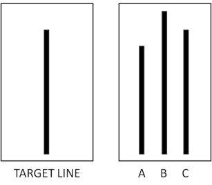 Are These Lines The Same Height? Your Answer Depends On Where You're From