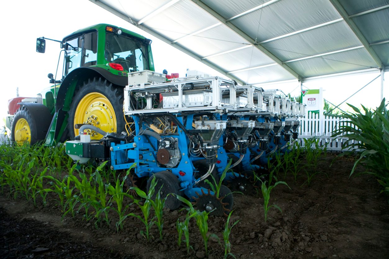 How To Genetically Modify a Seed, Step By Step