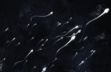 The Psychology of Semen, Part Two: Your Questions Answered