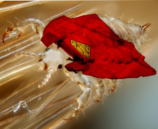 The Secret To Better Teeth Found In Beer Breweries