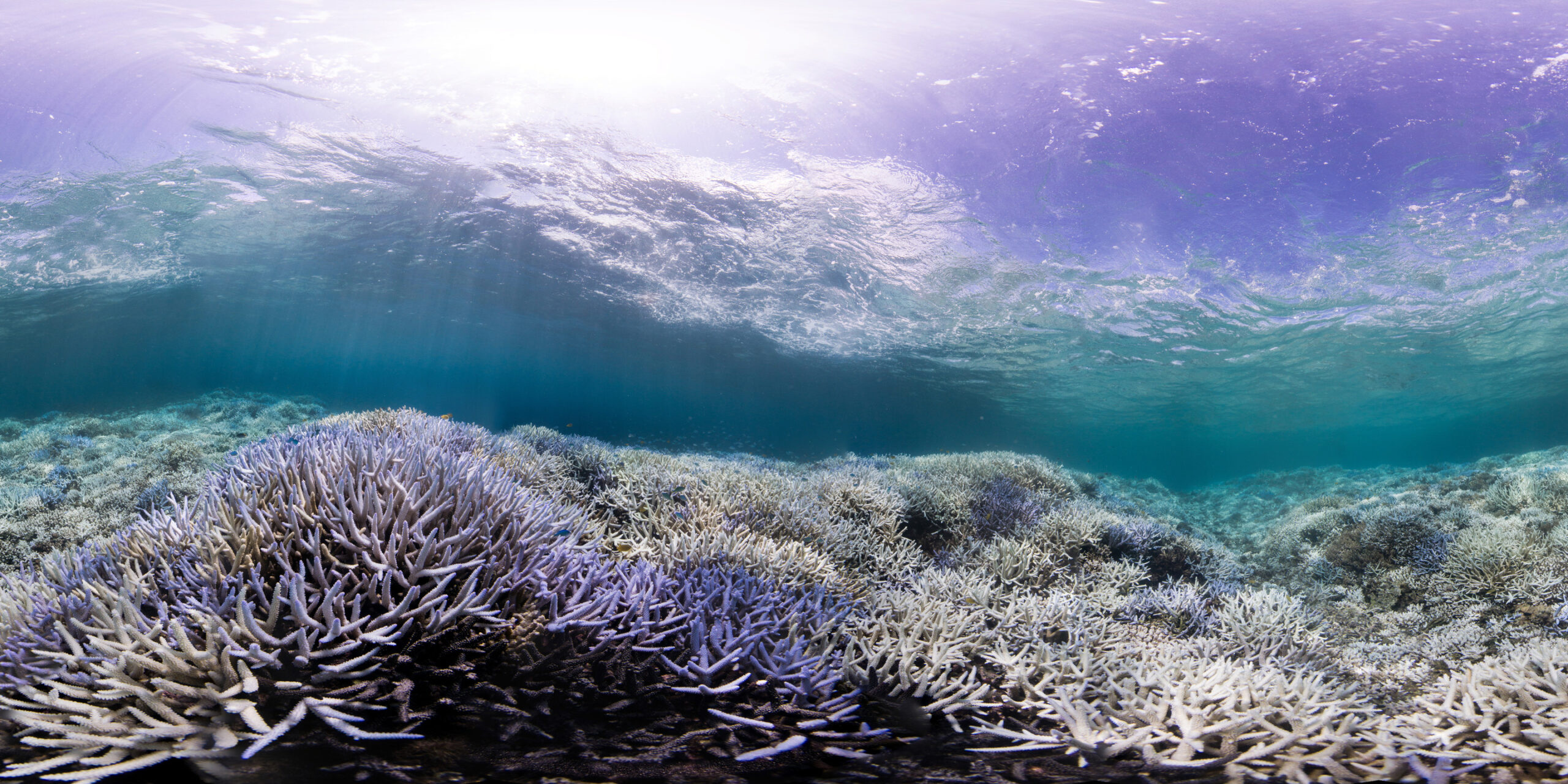 Celebrate World Ocean's Day with these gorgeous photos of the sea