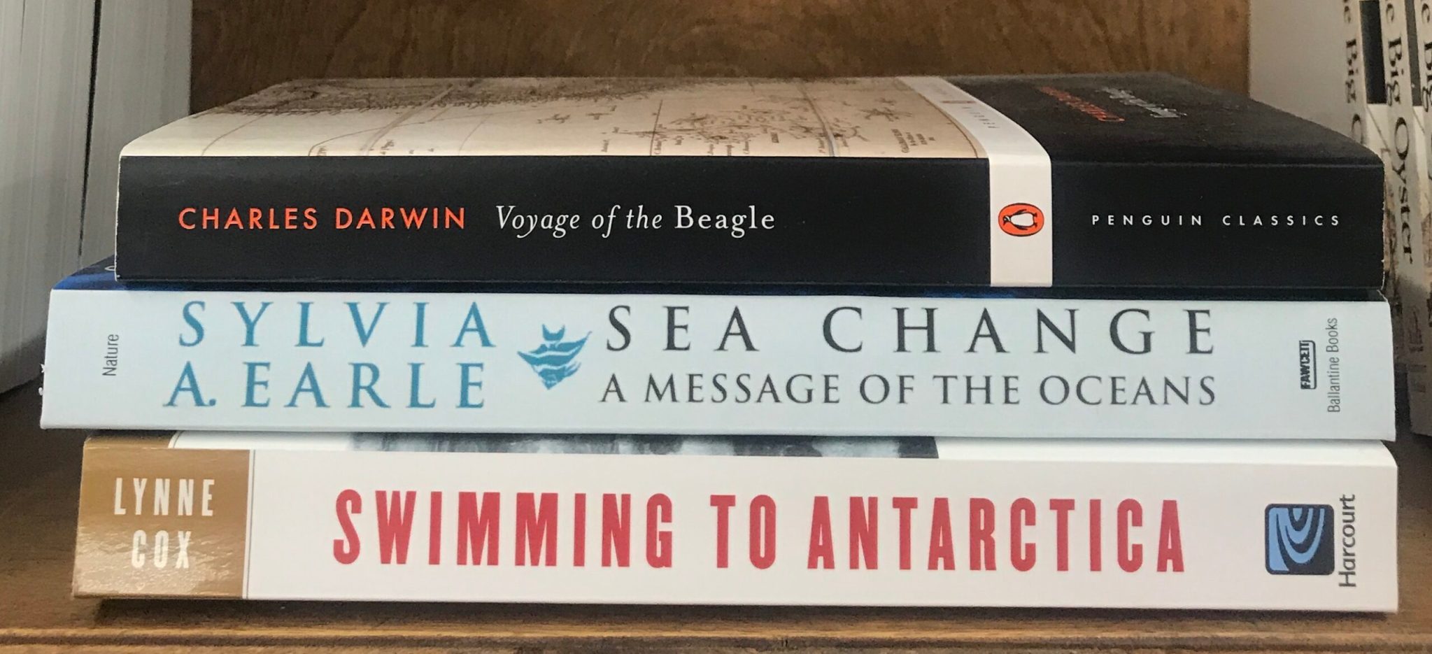 18 water-themed books to dive into this month