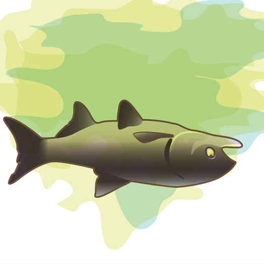 Five Ways To Stop Asian Carp
