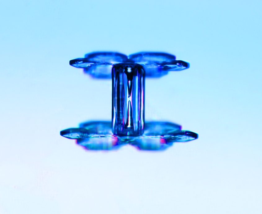 This Book Is A Complete Guide To The Science Of Snowflakes