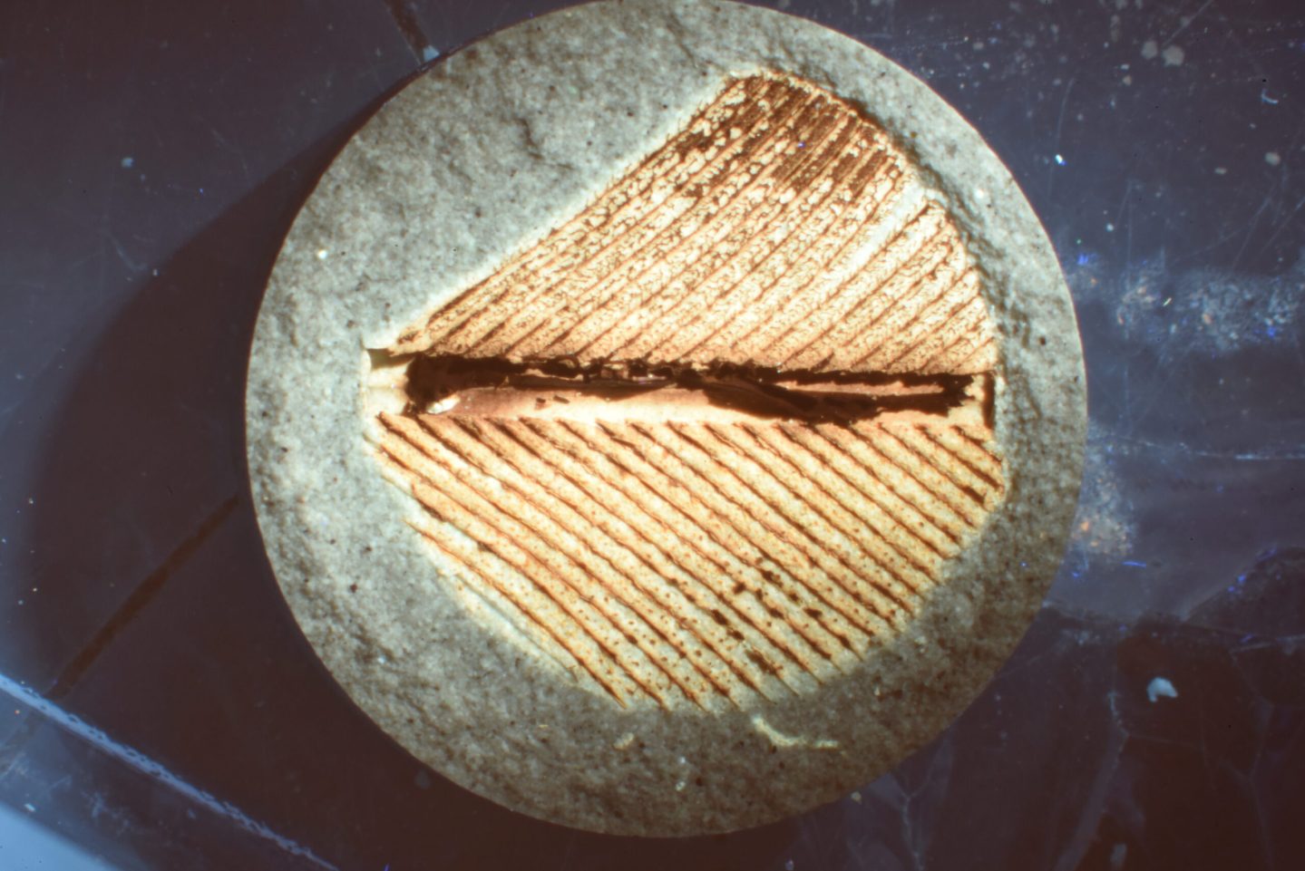To understand fossils, scientists are baking their own