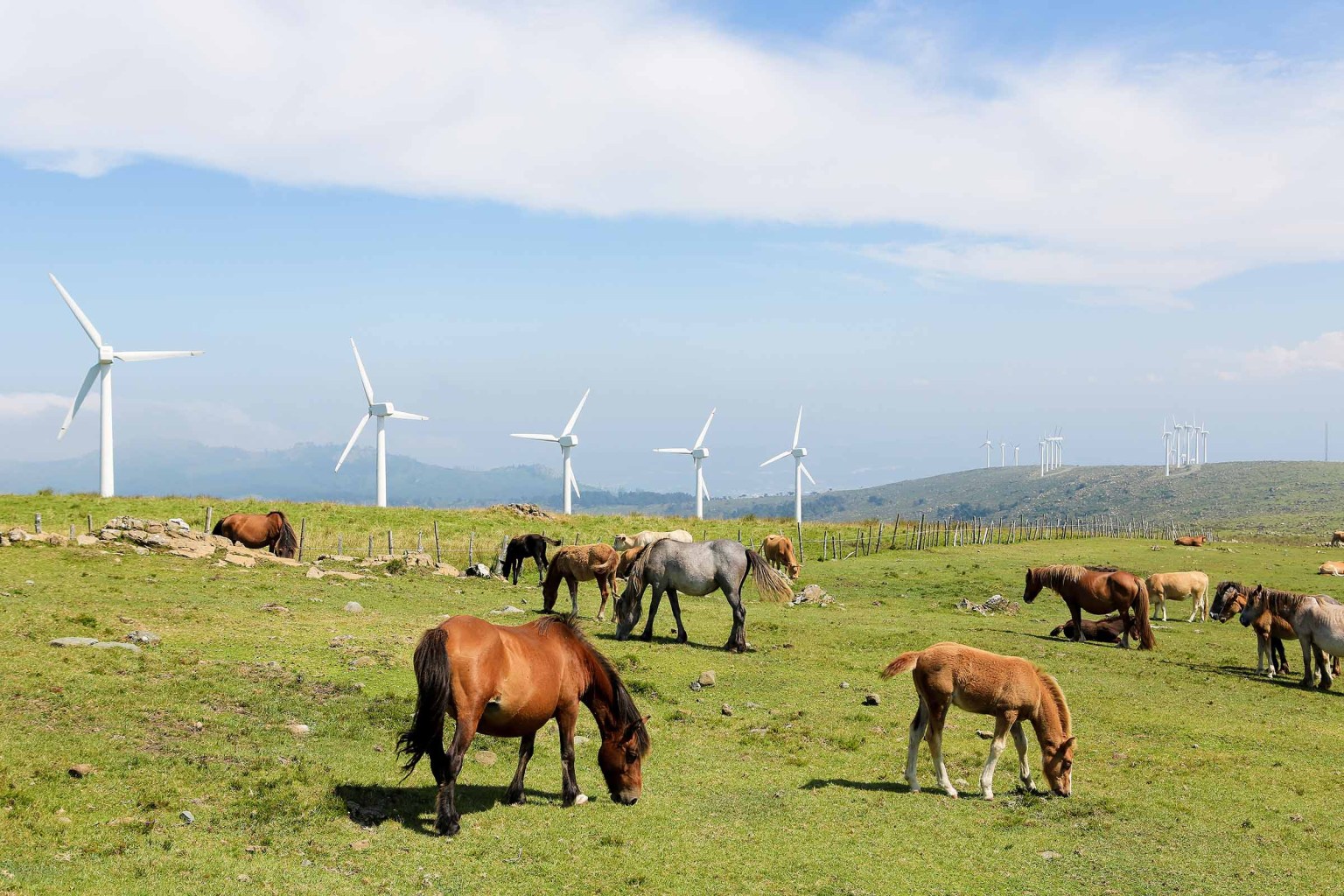 Almost every country in the world can power itself with renewable energy