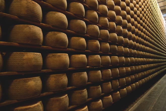 Cheese played a surprisingly important role in human evolution