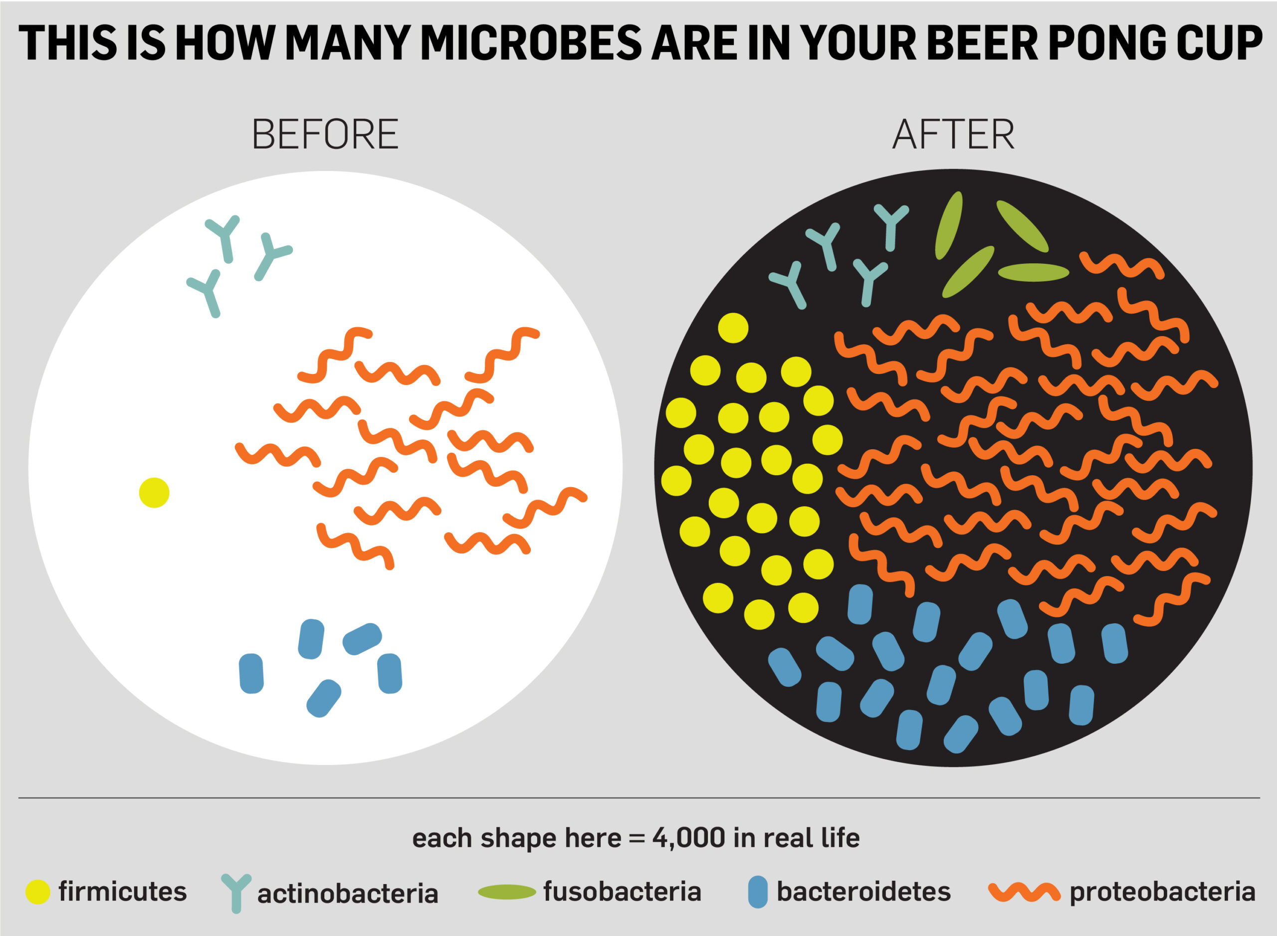 Yes, your beer pong cup is teeming with bacteria