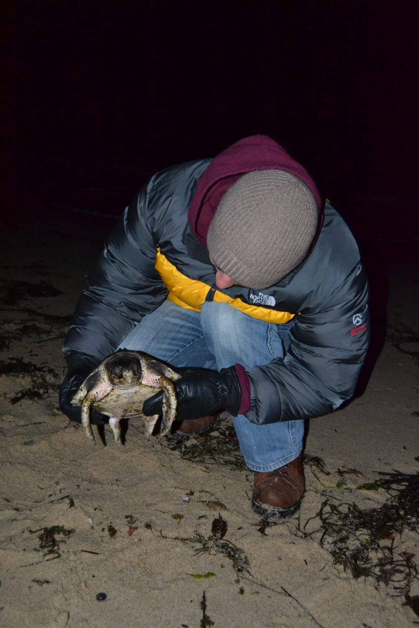 Now climate change is coming for our sea turtles