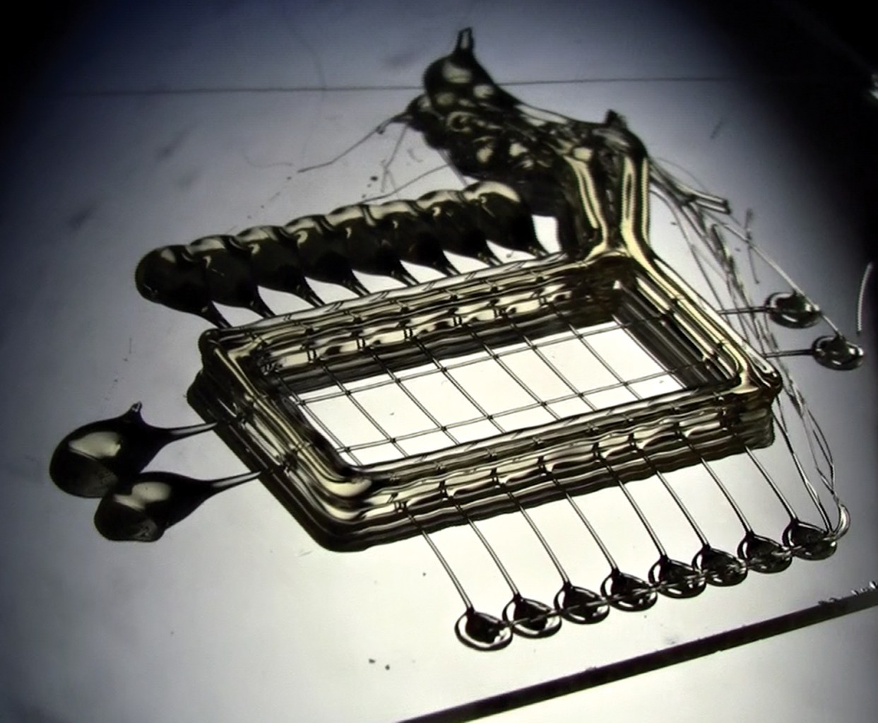 How 3-D Printing Body Parts Will Revolutionize Medicine