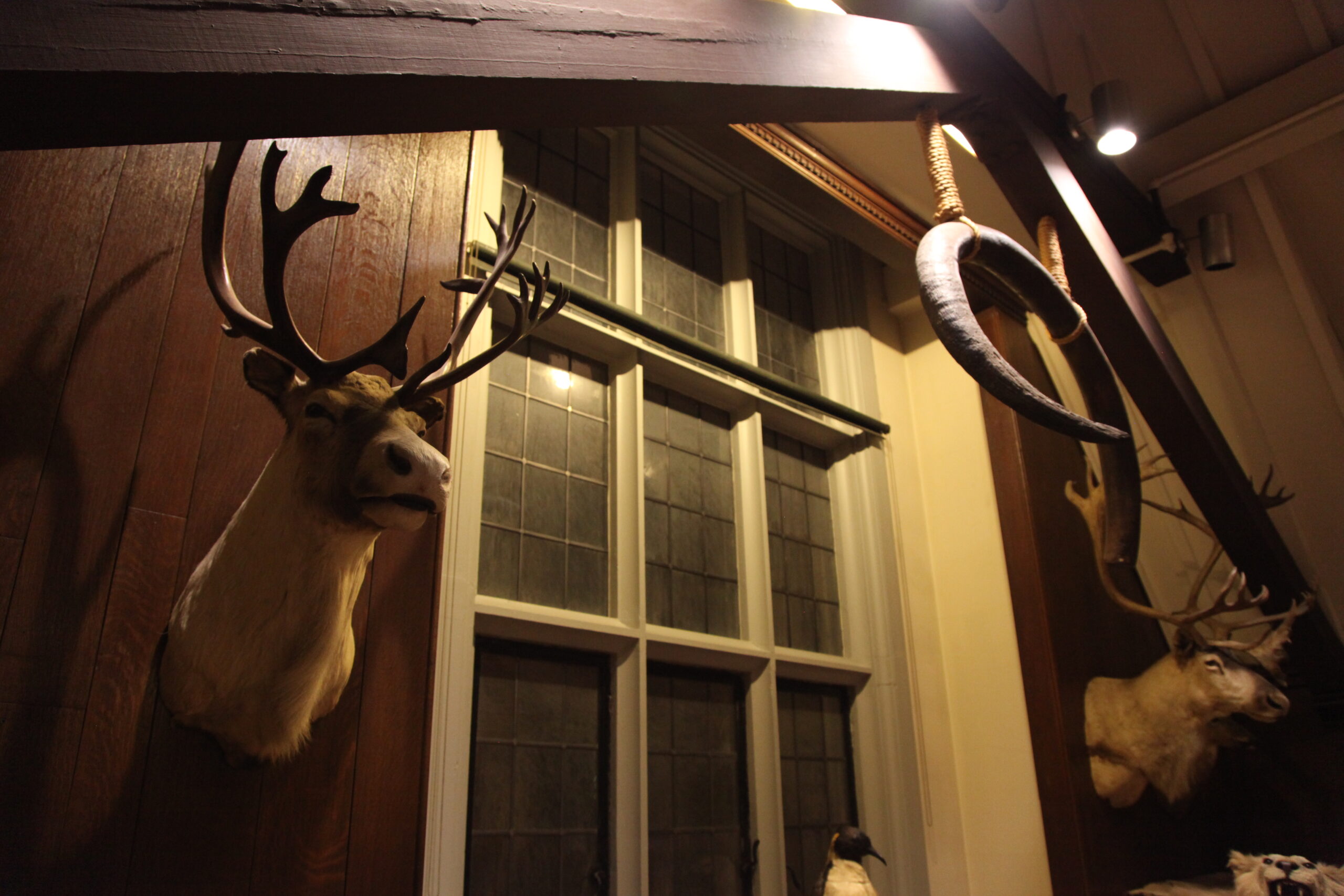 At The Explorers Club Annual Dinner, Invasive Species Are On The Menu