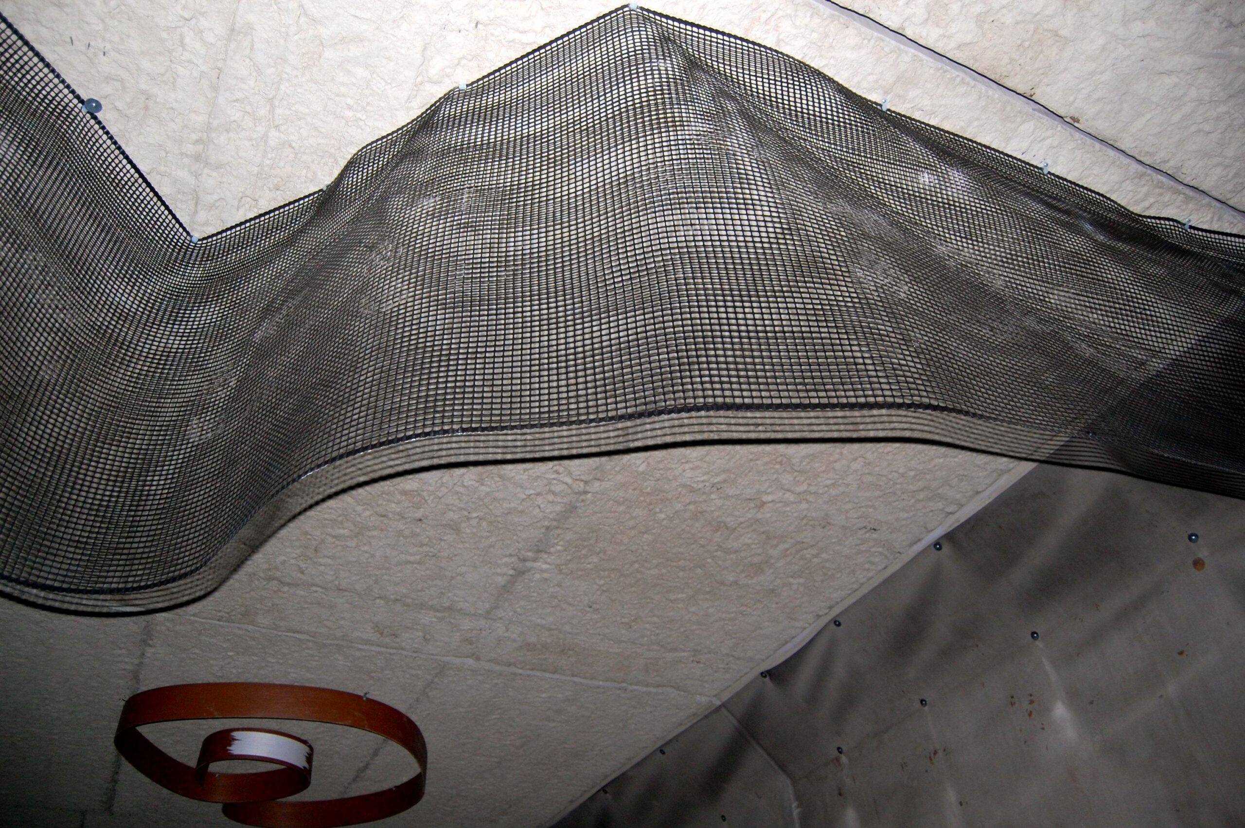 Inside the World's First Manmade Batcave Built For Wild Bats