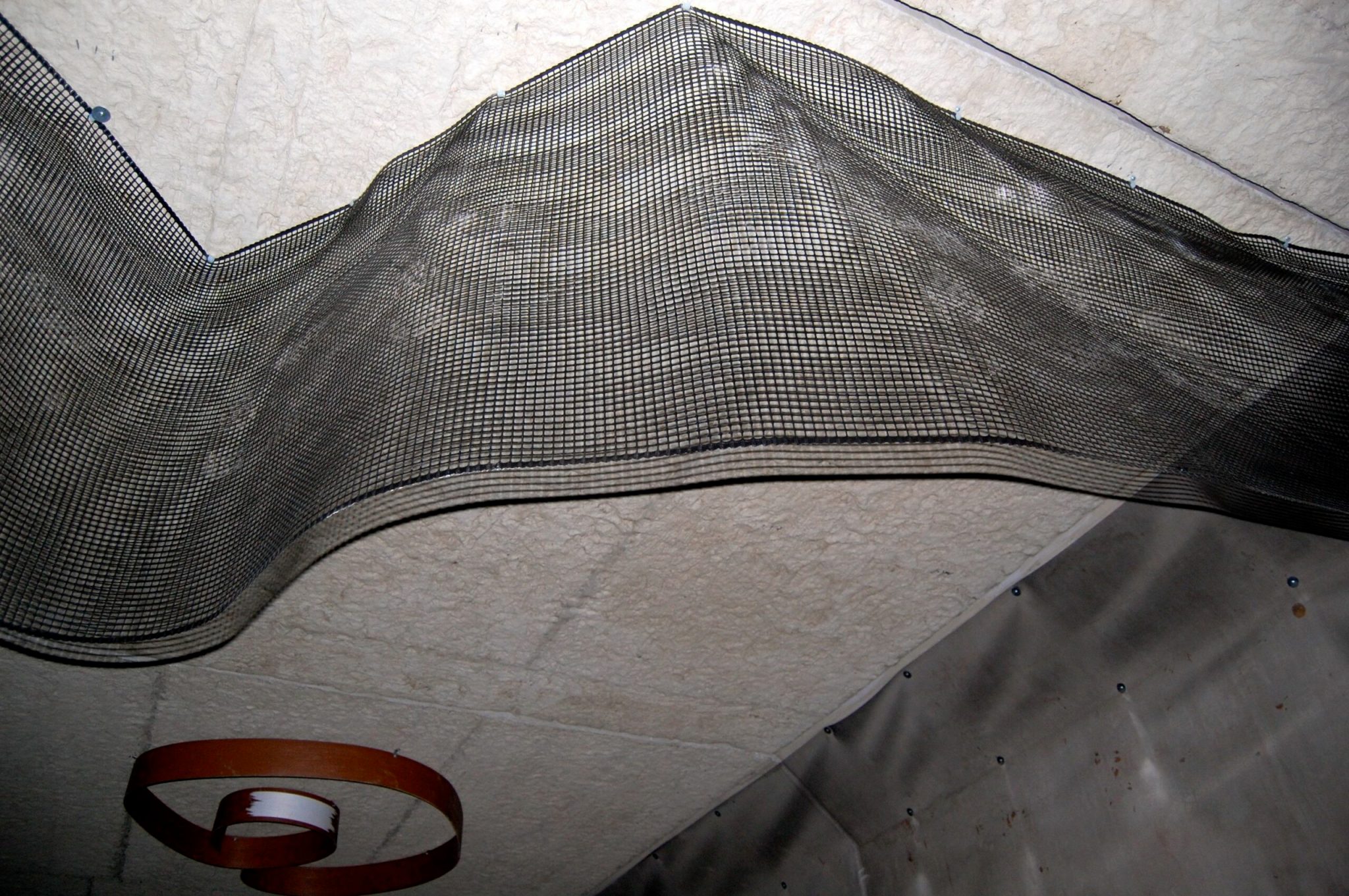 Inside the World's First Manmade Batcave Built For Wild Bats