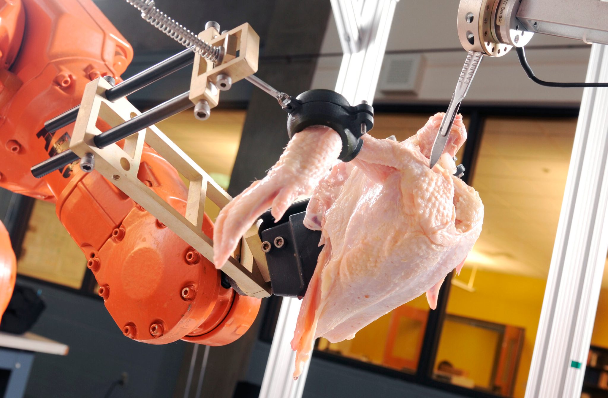 How It Works: The Robotic Chicken Butcher