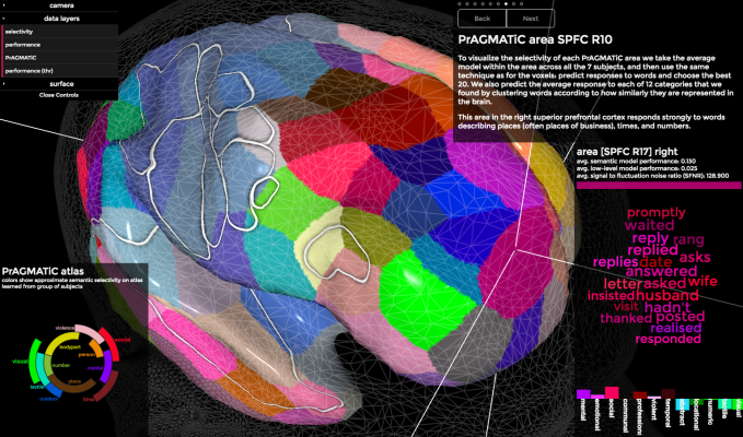 A 3D Map Of The Brain Shows How We Understand Language