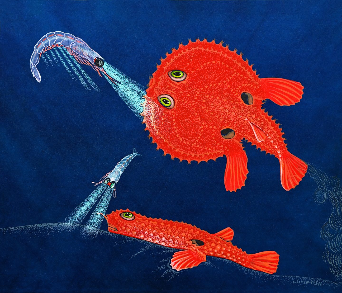 The Strange Beauty Of Bioluminescent Fish