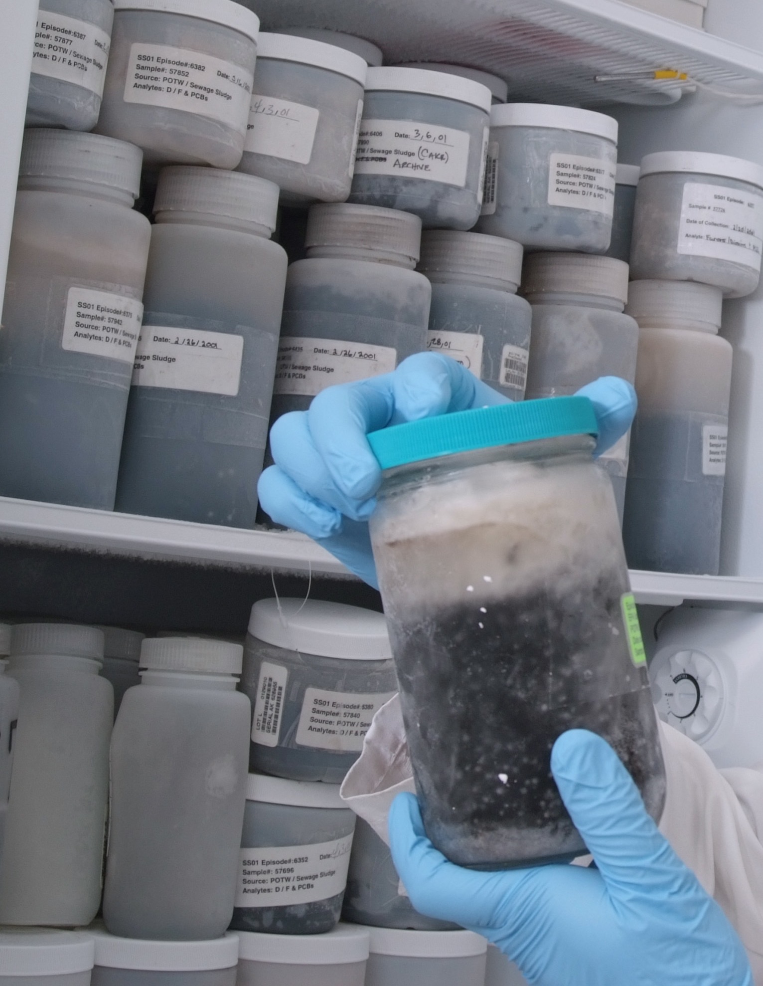 Scientists are scrutinizing city sewage to study our health