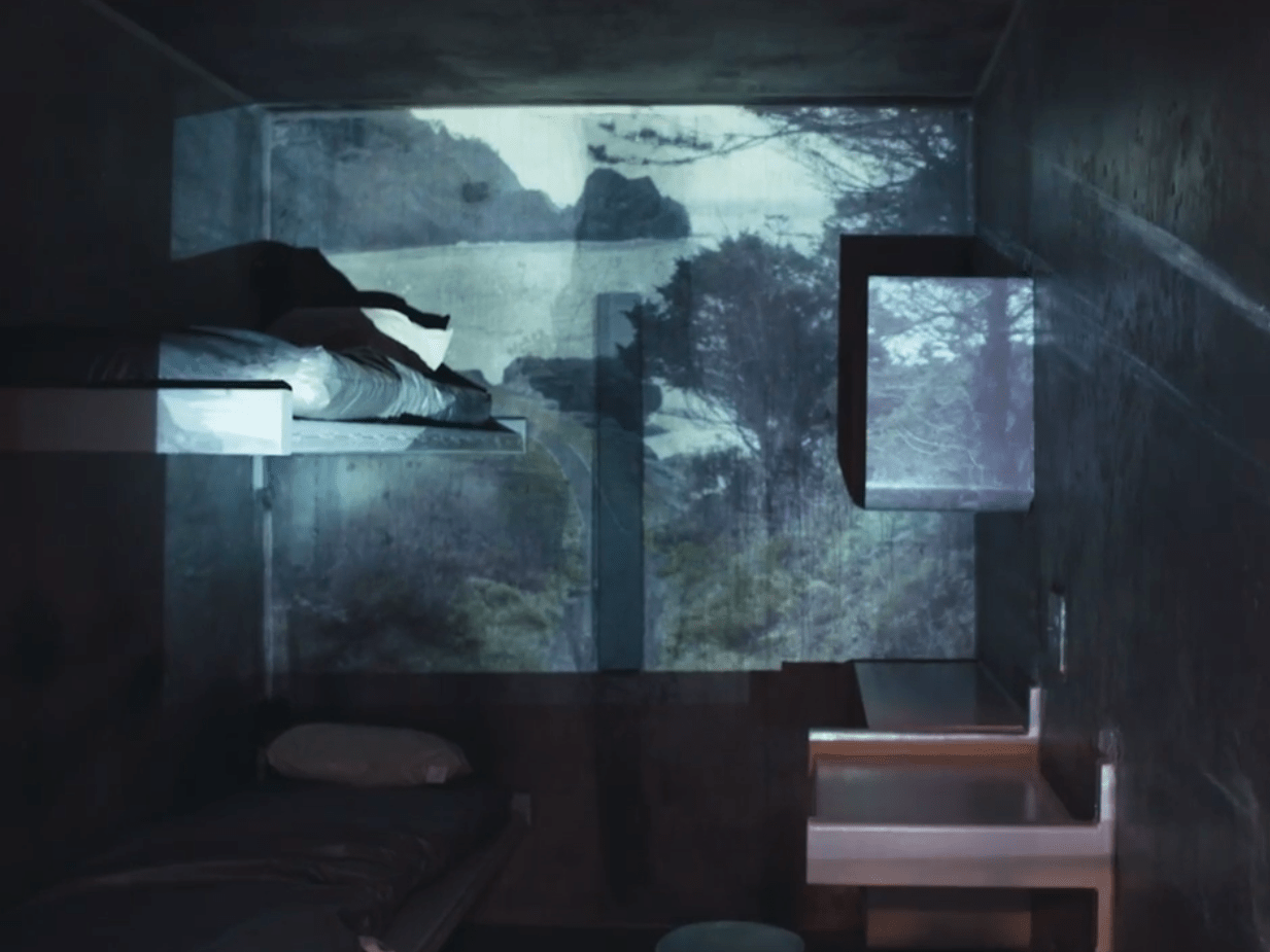 Nature Videos Make Prisoners Less Violent