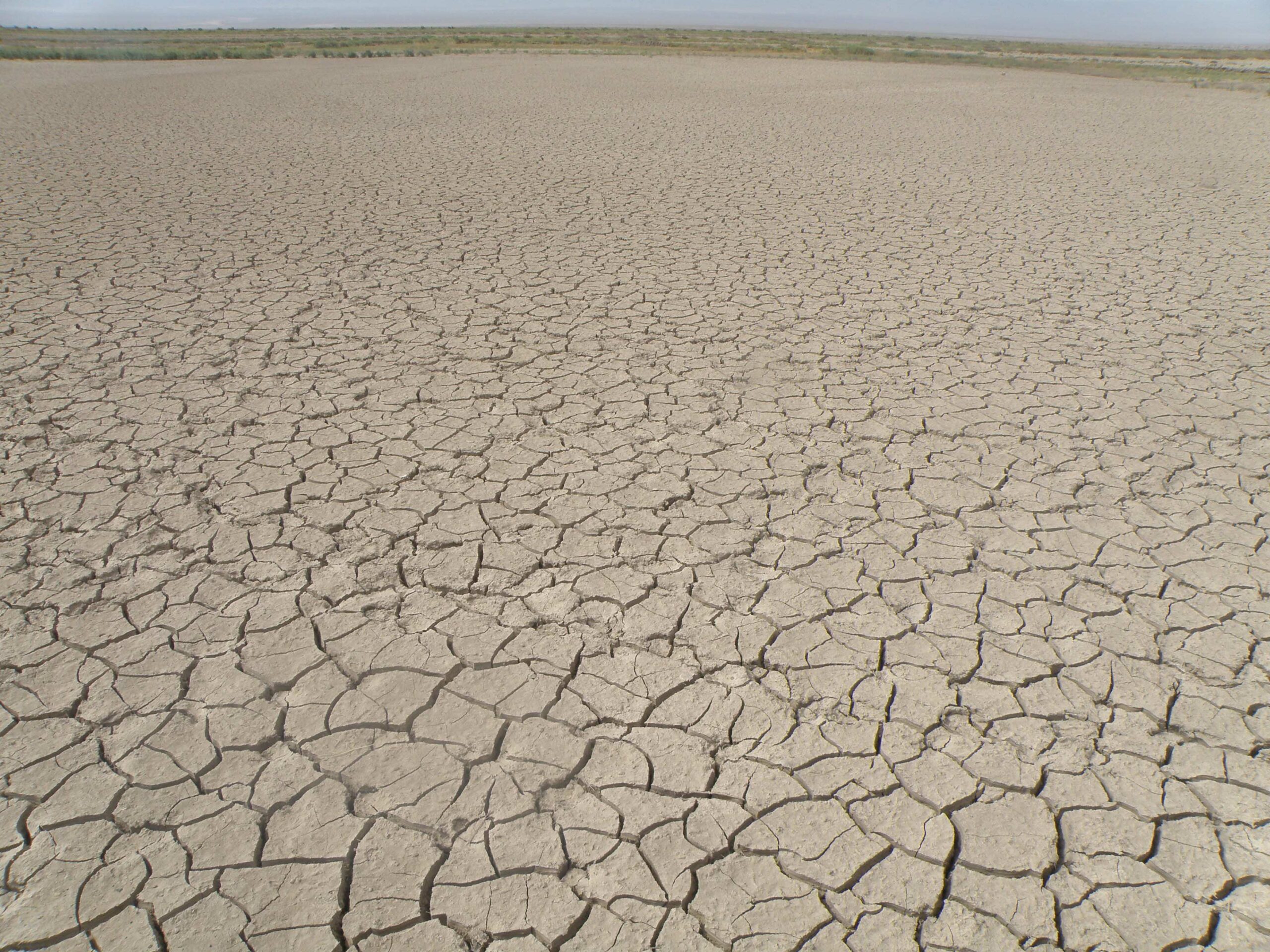 Climate change will mean more rain for some—and none for others