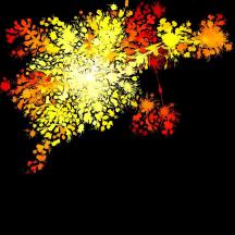 Researchers Map A Protein ‘Tree Of Life’ For Species Across The Animal ...