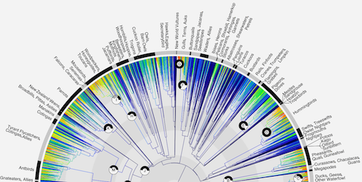 How Crows Recognize Individual Humans, Warn Others, and Are Basically ...