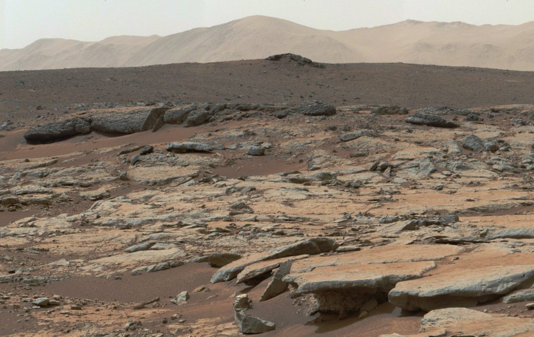 See NASA's Curiosity rover's photo of a 'Martian flower' | Popular Science