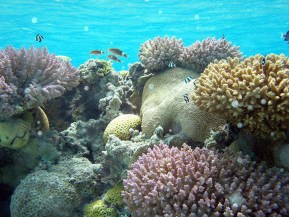 Celebrate World Ocean's Day with these gorgeous photos of the sea