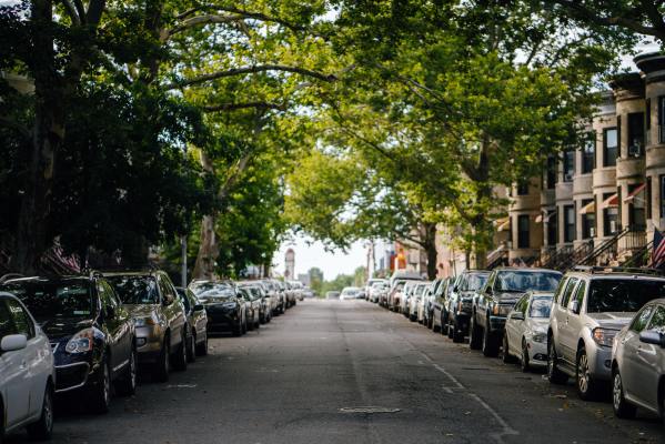 Here's how many trees are required to cool a city street