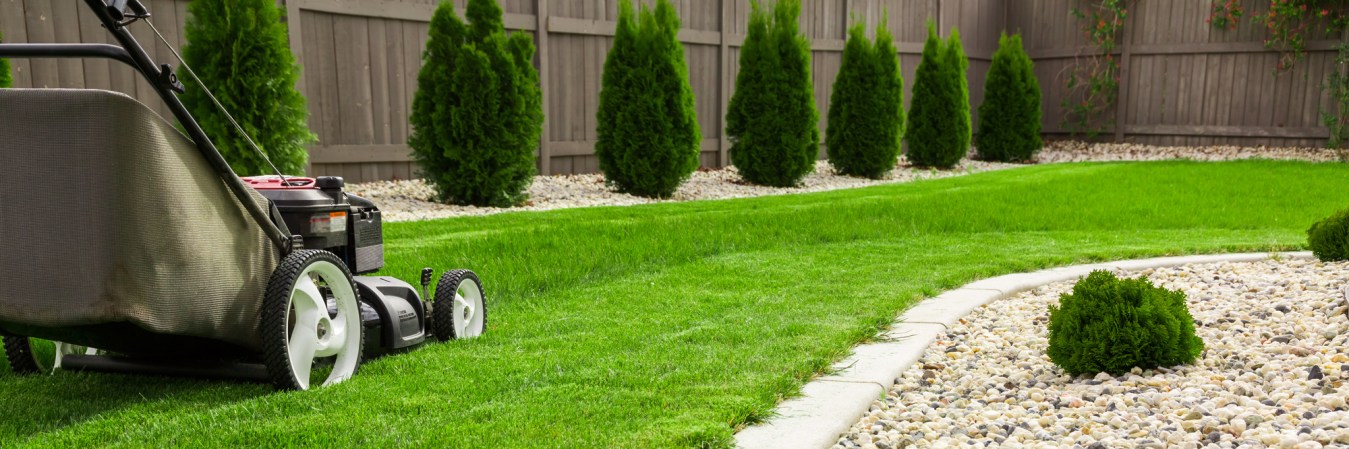 How to create a perfectly imperfect lawn