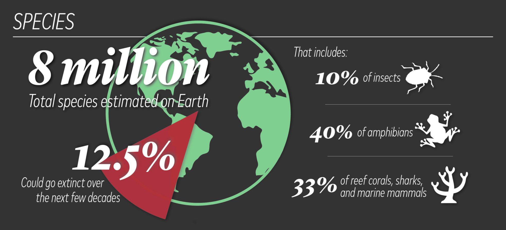 The UN's devastating extinction report, explained in 5 charts