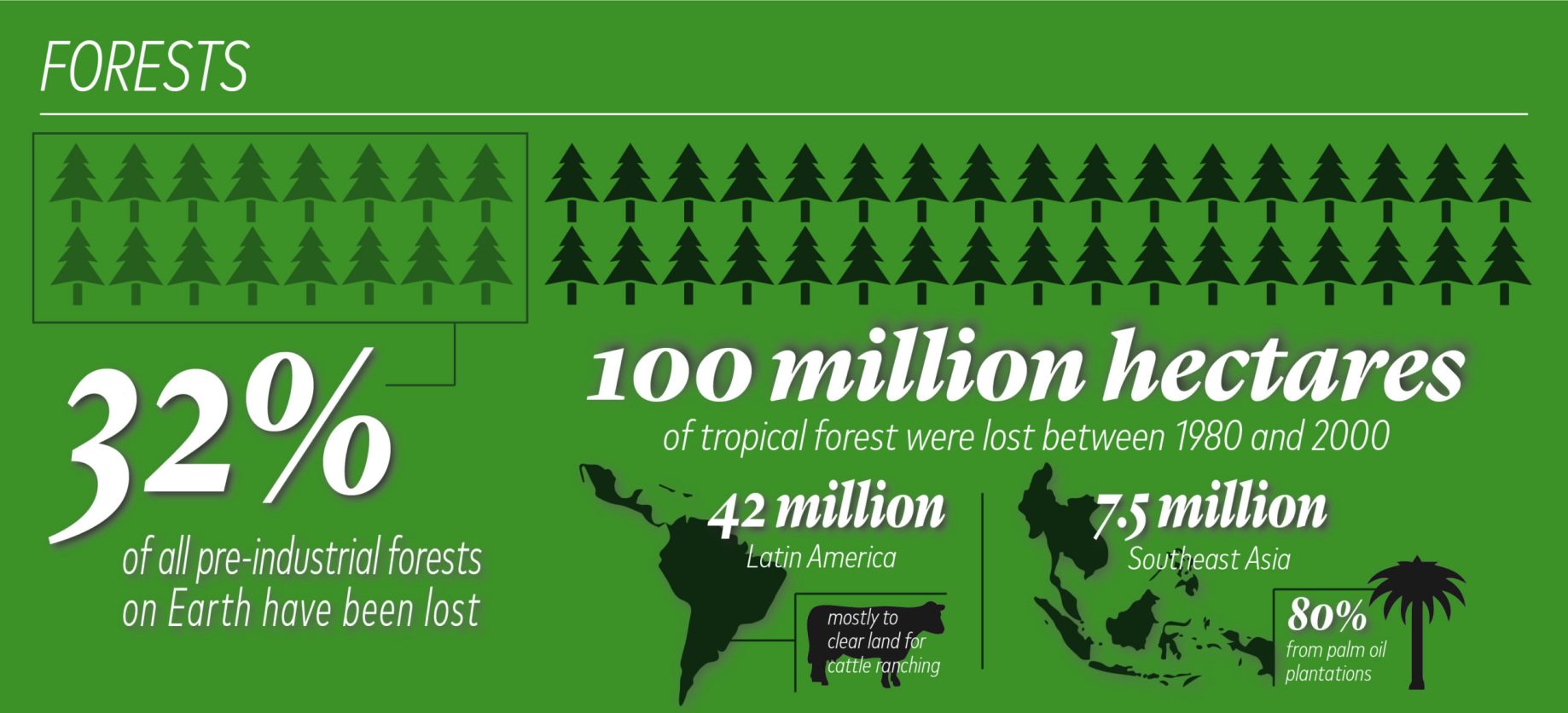 The UN's devastating extinction report, explained in 5 charts