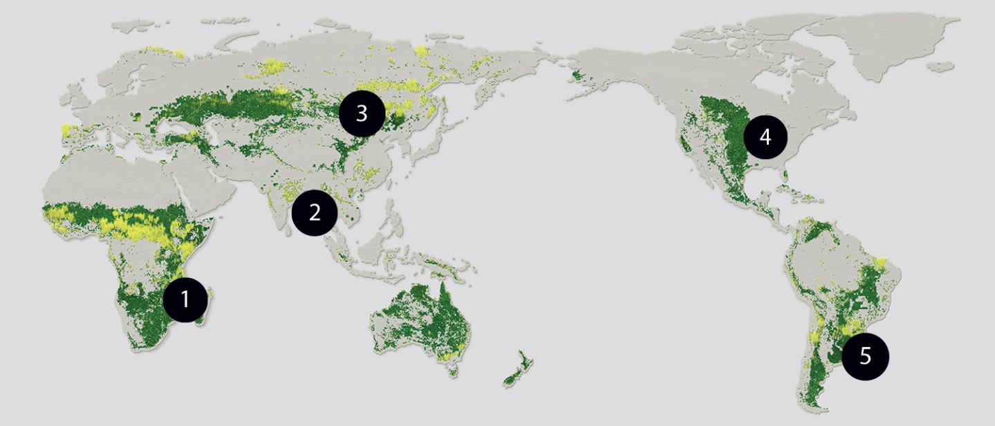 Only 10 percent of the world's grasslands are intact