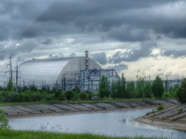 With humans out of the way, Chernobyl's wildlife thrives
