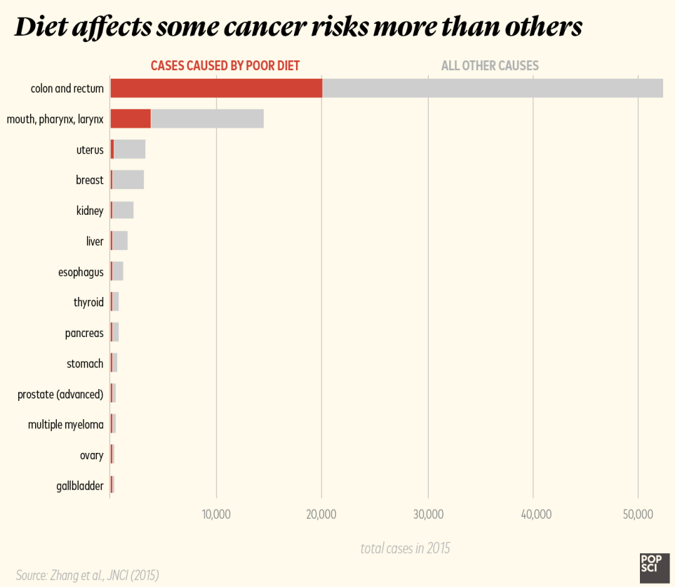 A bad diet really can raise your risk of cancer. Here’s how.