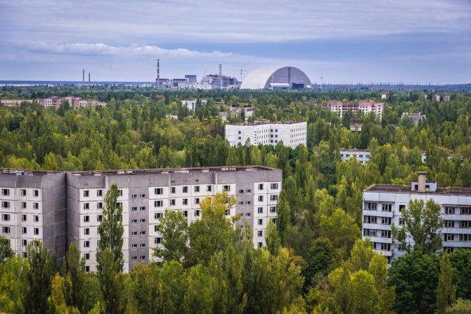 Plants couldn’t run away from Chernobyl—but that’s what saved them