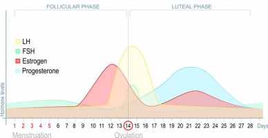 Science is here to validate your PMS cravings