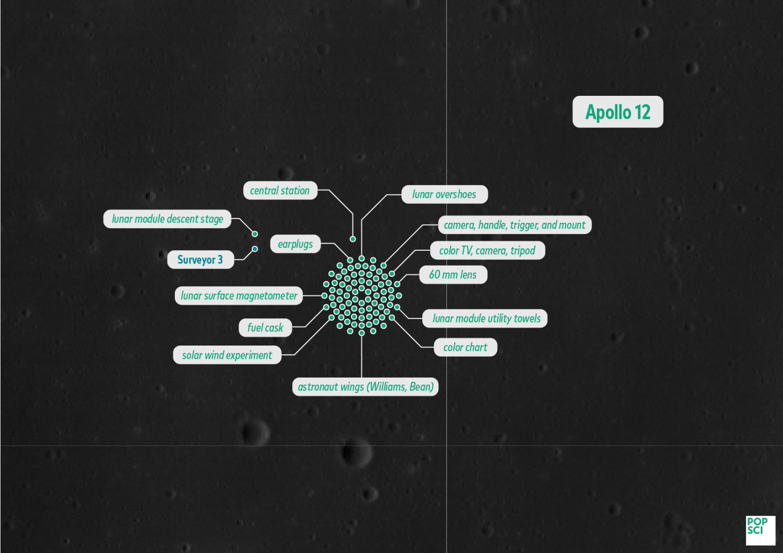 Money, shoes, poop, and other highlights from the 796 items we’ve left ...