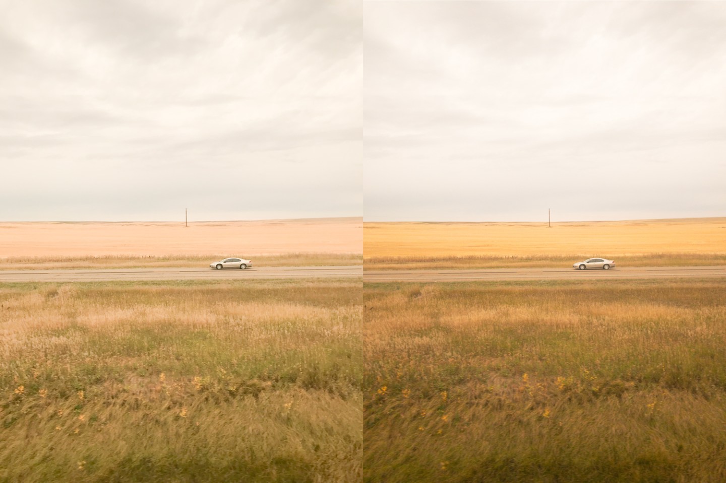 When to shoot RAW images on your smartphone