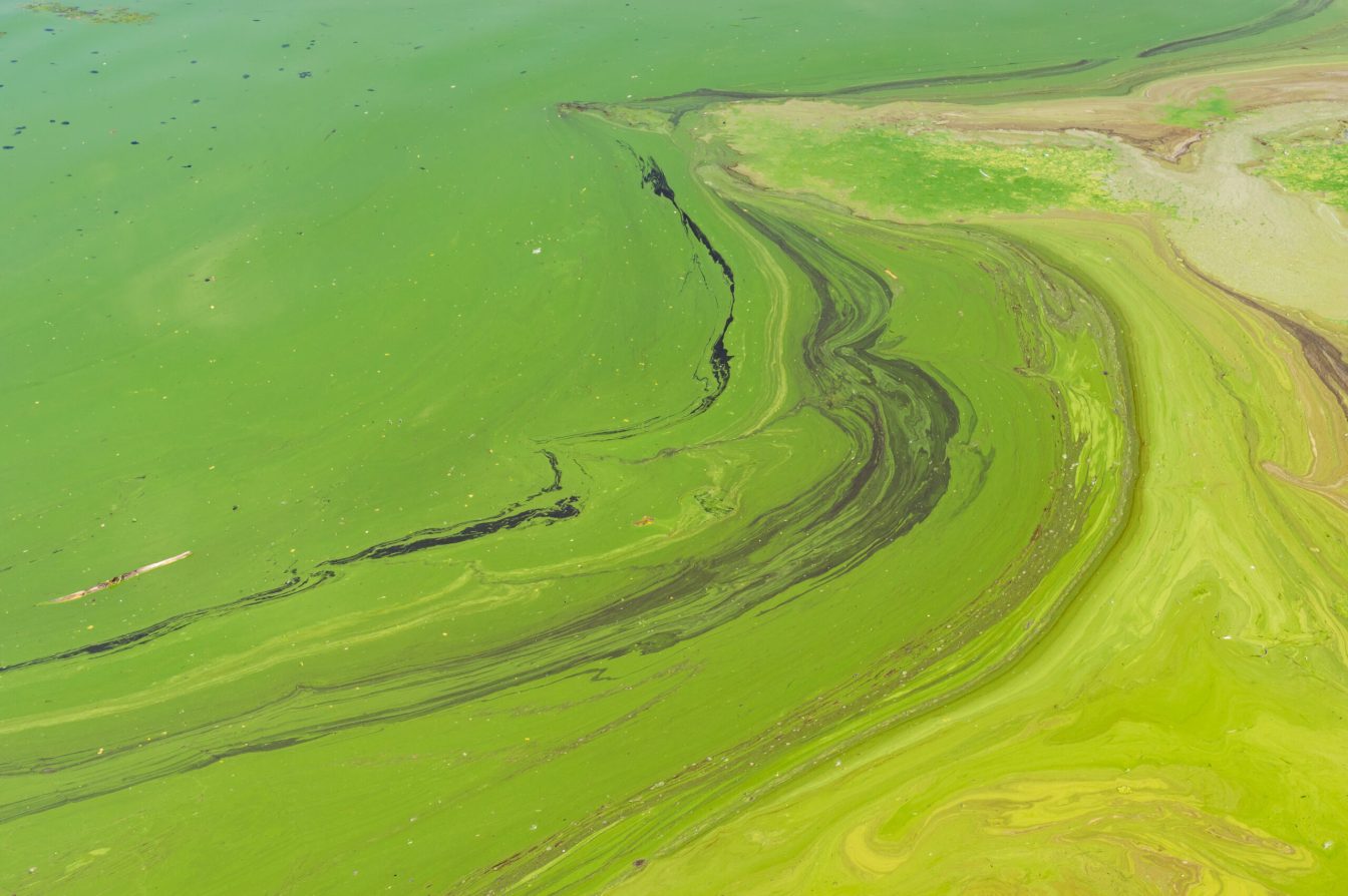 Earth's oxygen appeared all at once, Australian rocks suggest