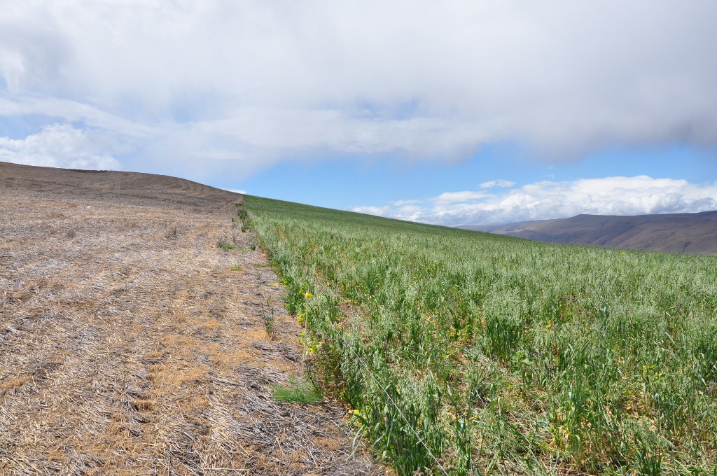 A great climate comes from happy soil. Could happy soil come from ...