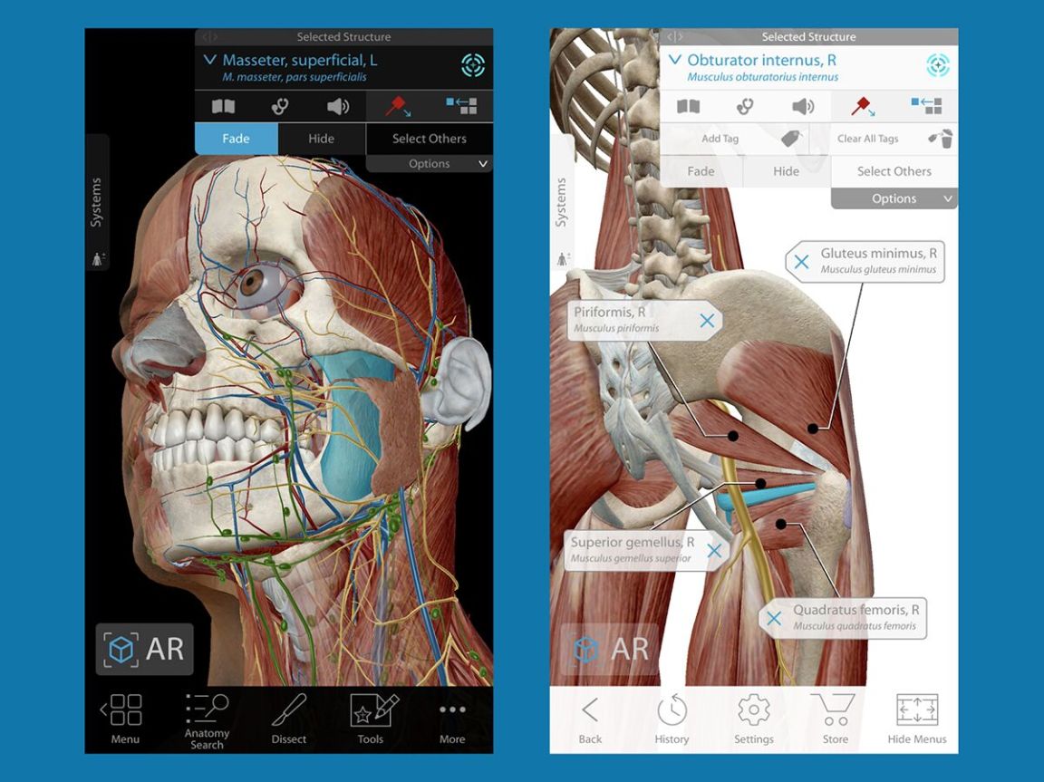 7 ways augmented reality can change the way you use your phone