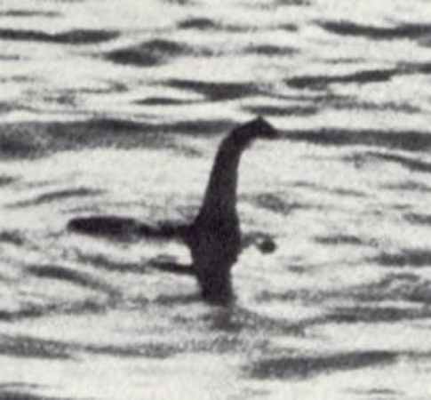 New DNA evidence may prove what the Loch Ness Monster really is