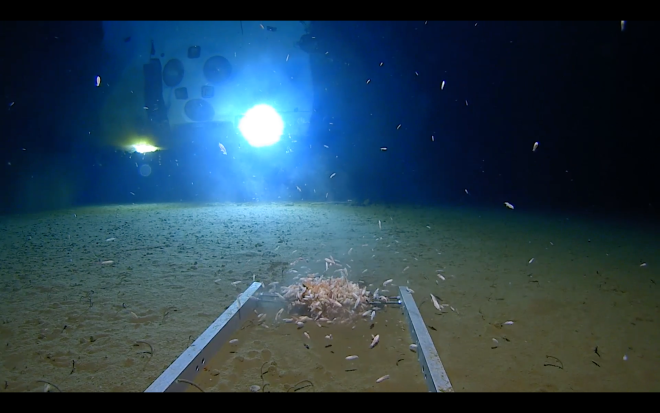 James Cameron doesn’t think his deep-sea diving record was broken. So ...