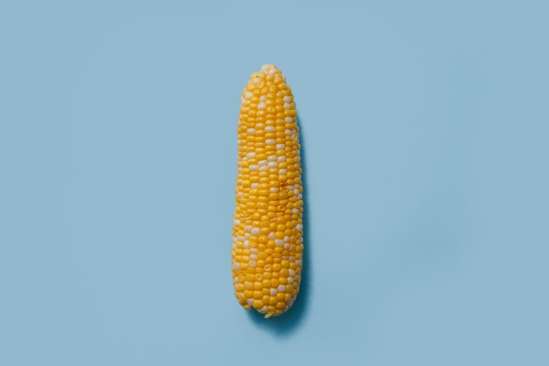 Is corn a fruit, a vegetable, or a grain? | Popular Science