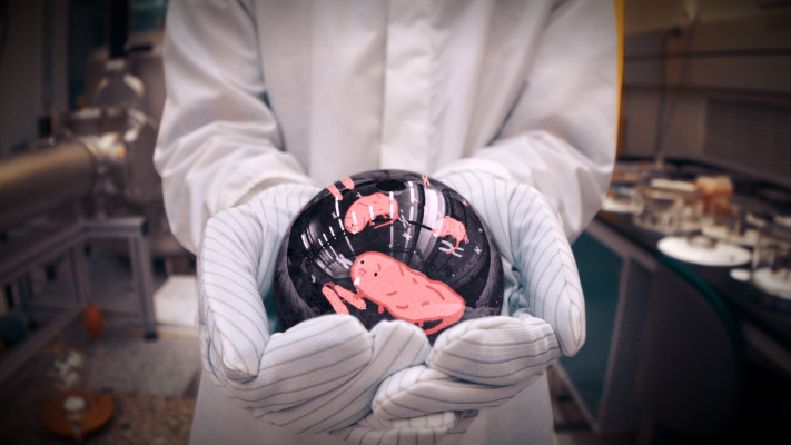 Super rodents, atomic math, and Marilyn Monroe: everything you need to ...