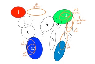 Monkey mouth sounds could push the evolution of speech back by 27 ...