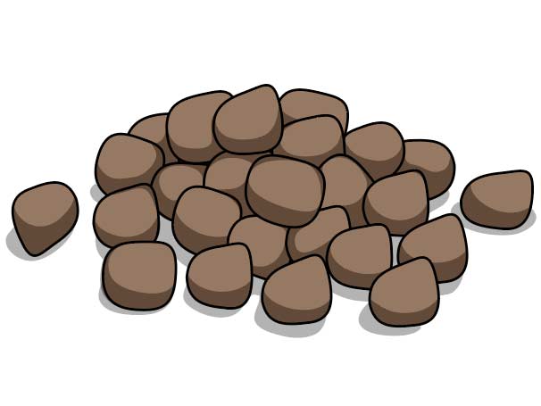 Eleven animals you can identify by their poop