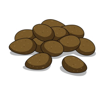 Eleven animals you can identify by their poop